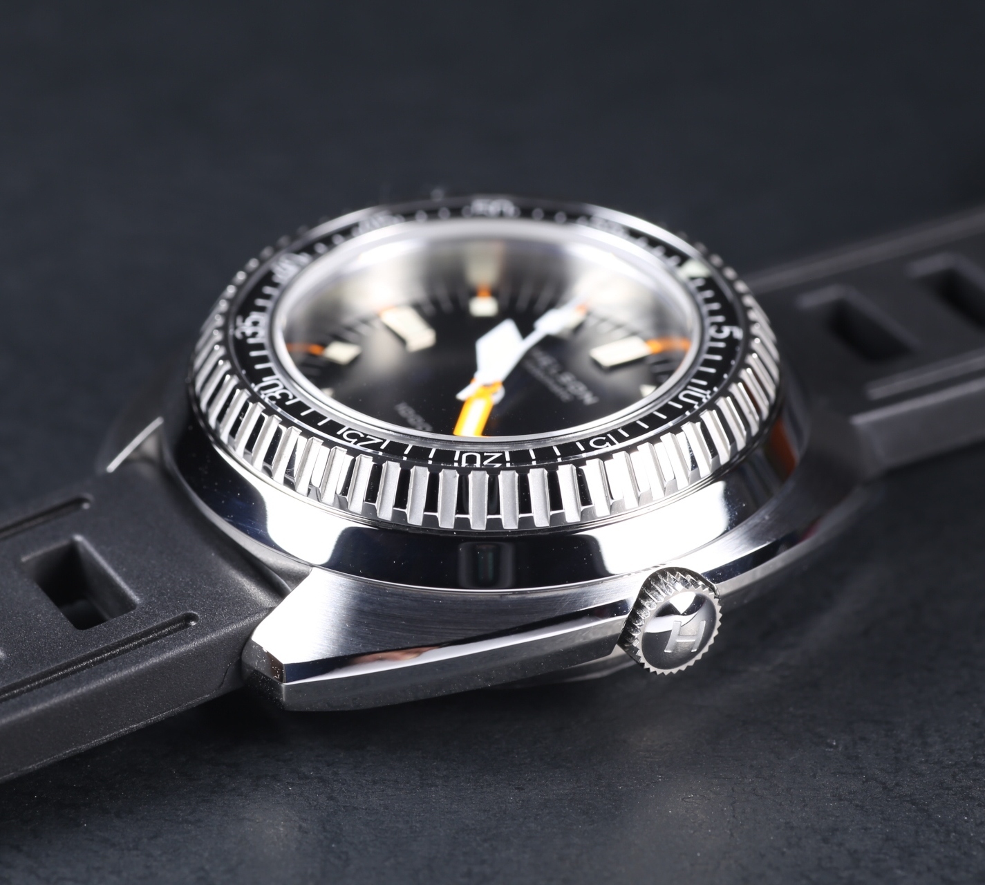 New Arrival! Turtle with new elements and new colors | WatchinTyme