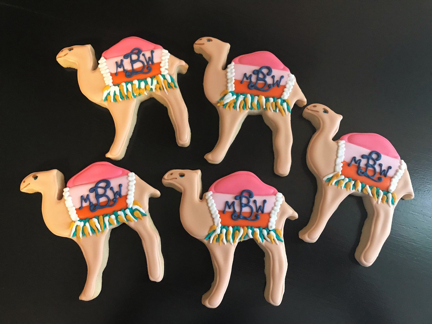 CAMEL COOKIES (1 DOZEN)