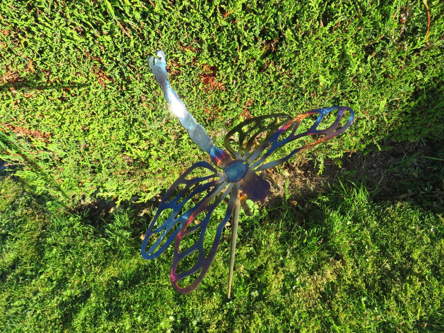 Dragon Fly with pole