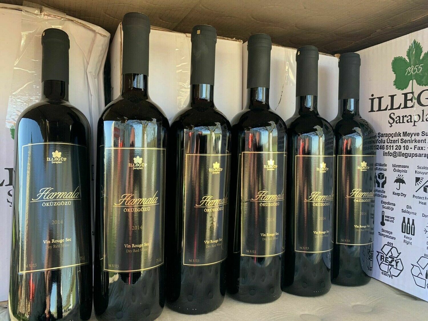 Lot revendeur de 24 bouteilles de vin rouge sec "Illégüp" - Idem photo