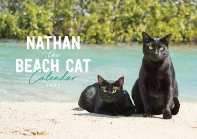 Nathan the Beach Cat - Stories Pics and Products - Store