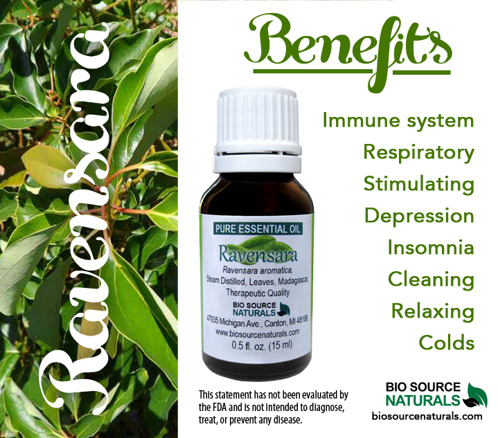Buy Ravensara Pure Essential Oil - BioSource Naturals | Essential Oils ...