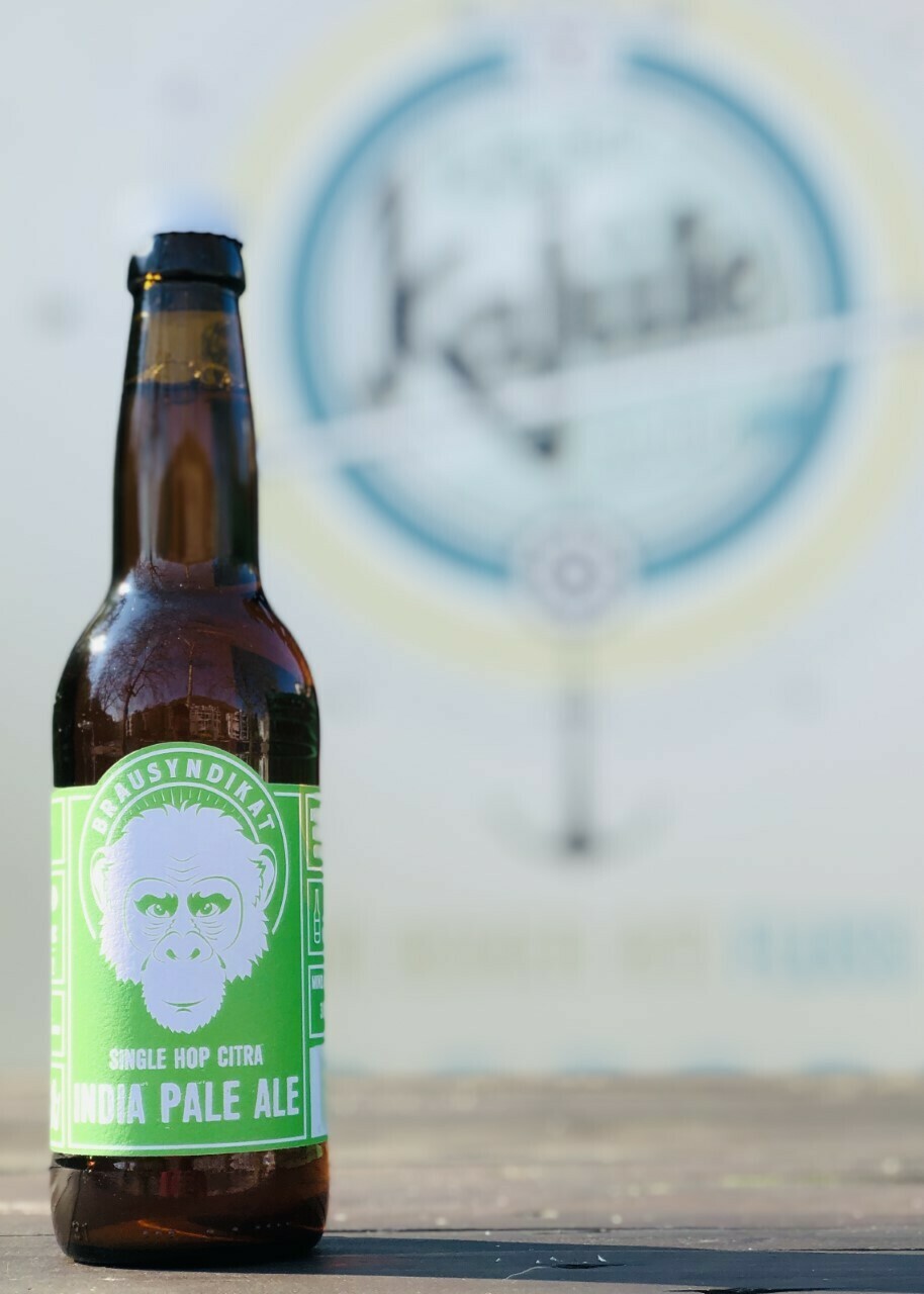 BRAUSYNDIKAT - Single Hop Citra IPA