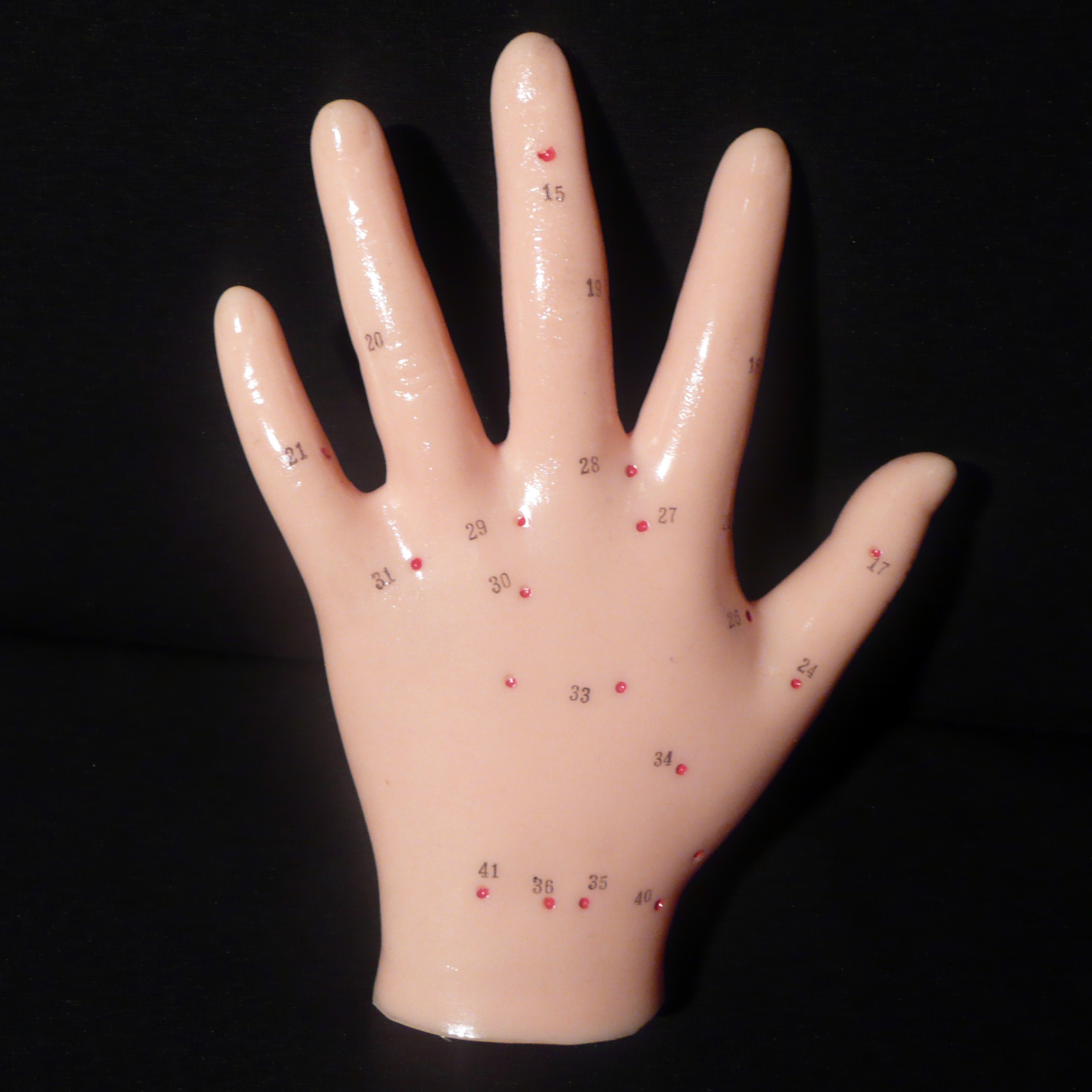 Anatomical Human Hand Acupuncture Model | Acupuncture Models – Products ...